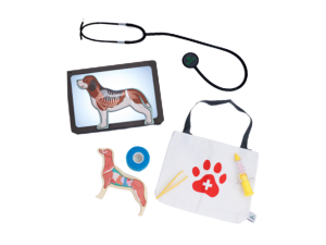 Nature Kits for Kids | KiwiCo